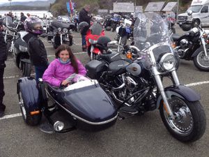 sidecar Gebrauchtmotorrad - Gebrauchte Motorräder suchen