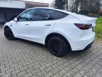 TESLA MODEL Y tesla-model-y-long-range-induction-wheels-awd-extras ...